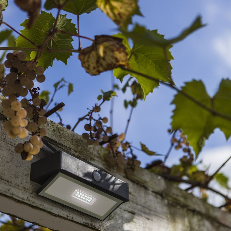 LUTEC Arrow PIR Sensor IP44 Integrated LED Outdoor Solar Wall Light ...