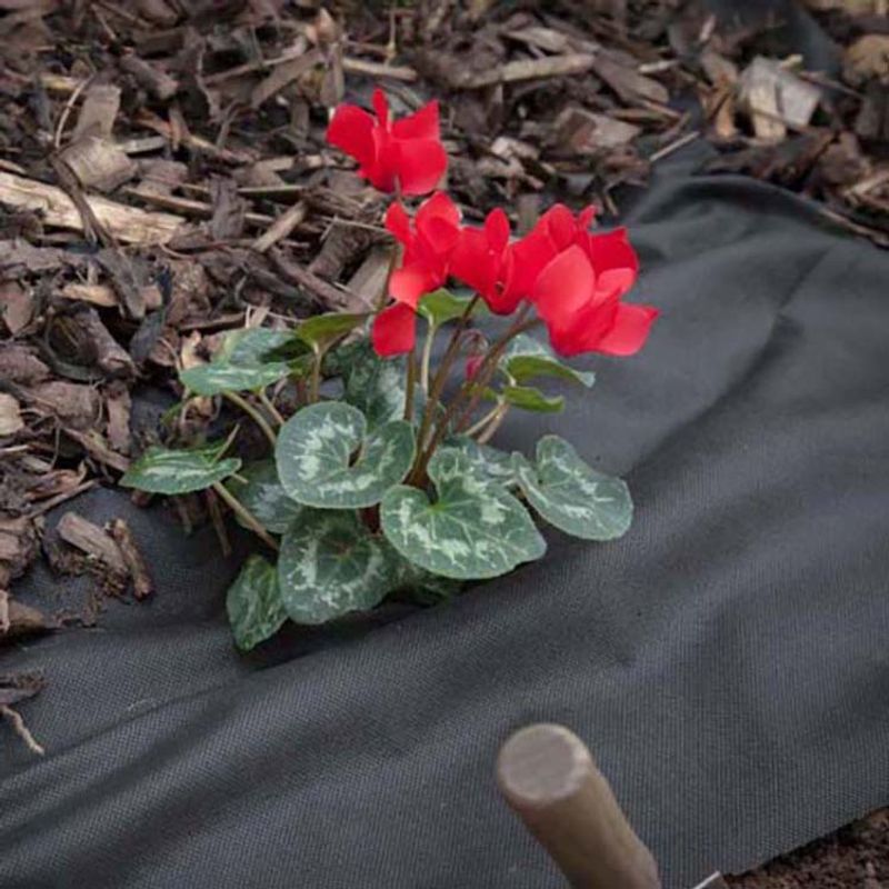 Apollo Weed Control Fabric Roll - 2000mm x 50m | Roofing Superstore®