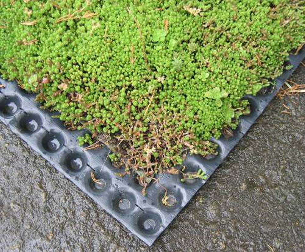 Wallbarn Protecto-Drain 20m Cavity Drain Membrane | Drainage Superstore®