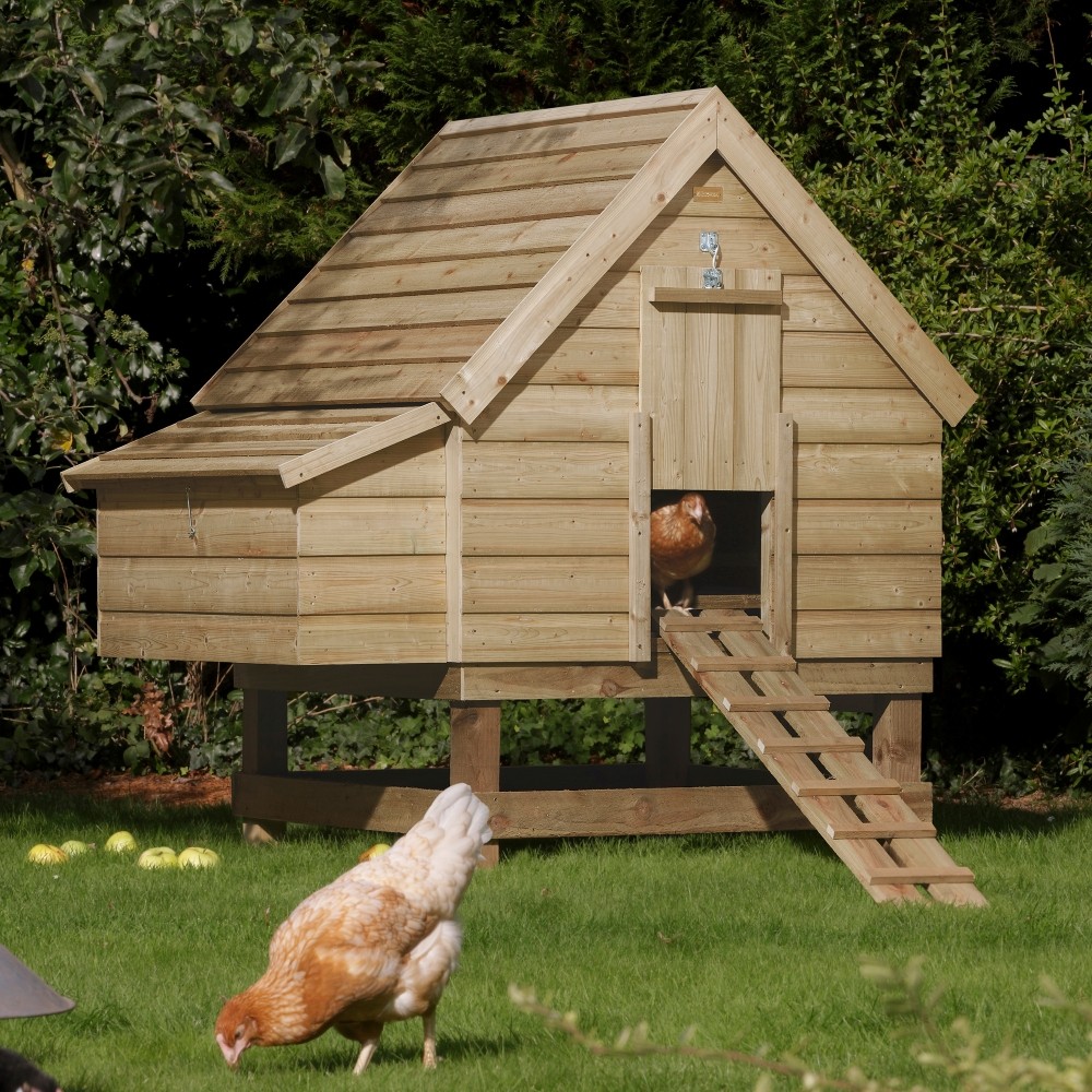 Rowlinson Large Timber Chicken Coop - 1580mm x 1195mm | Landscaping ...