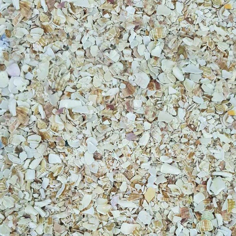 Deco-Pak Eco Stone 5mm to 20mm Sea Shells - 750kg Bulk Bag | Drainage ...