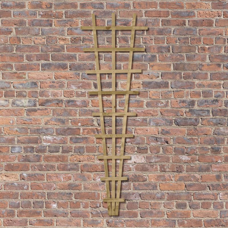 Forest Garden Traditional Fan Trellis | Drainage Superstore®