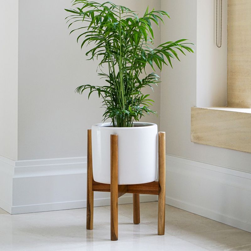 Anzio Stone White Indoor Ceramic Planter & Wooden Stand - 385mm x 240mm ...