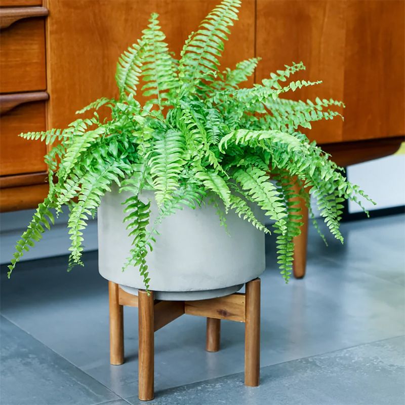 Vigo Concrete Grey Cement Planter with Stand - 330mm x 240mm | Drainage ...