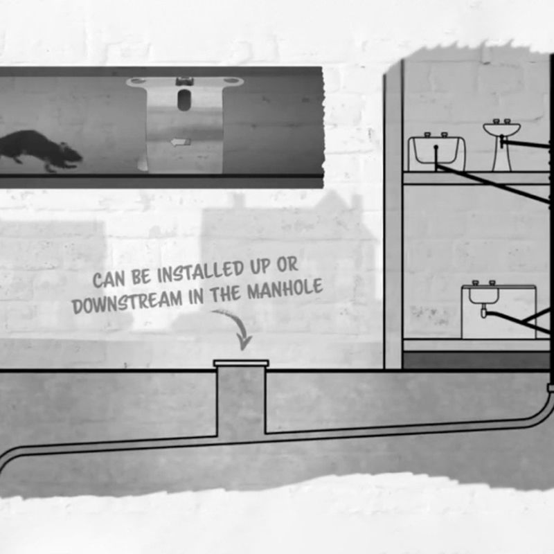 RatGate Stainless Steel Rodent Prevention System - 6 Inch | Landscaping ...