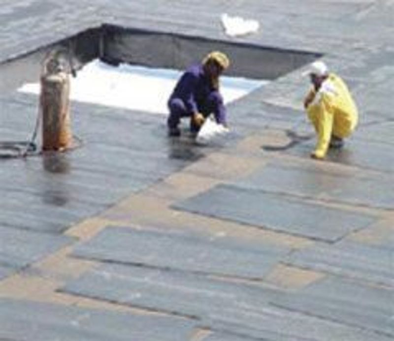 6mm Bituminous Protecto-Board (2m x 1m) For Green Roof ~ Price Per ...