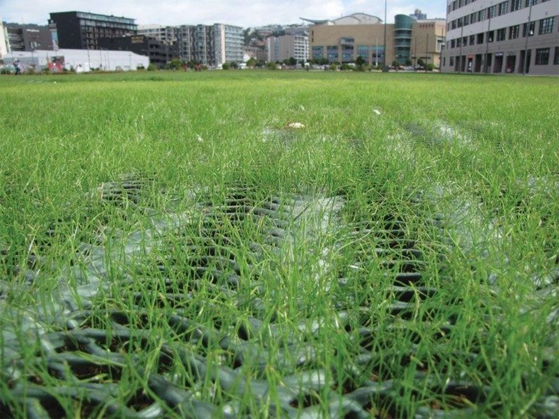Grass Reinforcement Mesh GrassProtecta Heavy Duty 1m x 10m - Terram ...